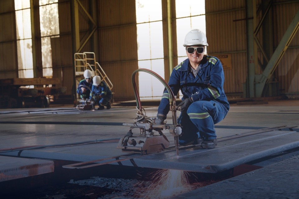 Home Page — Erdemir