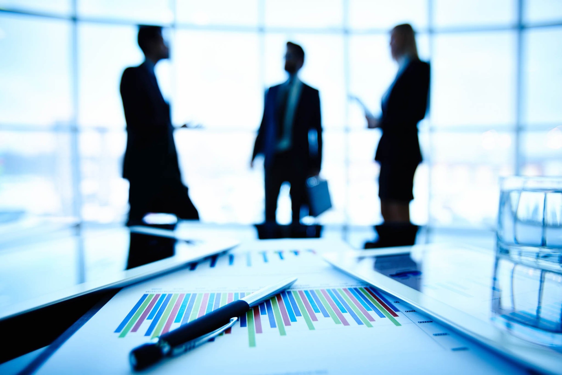 Management — Erdemir